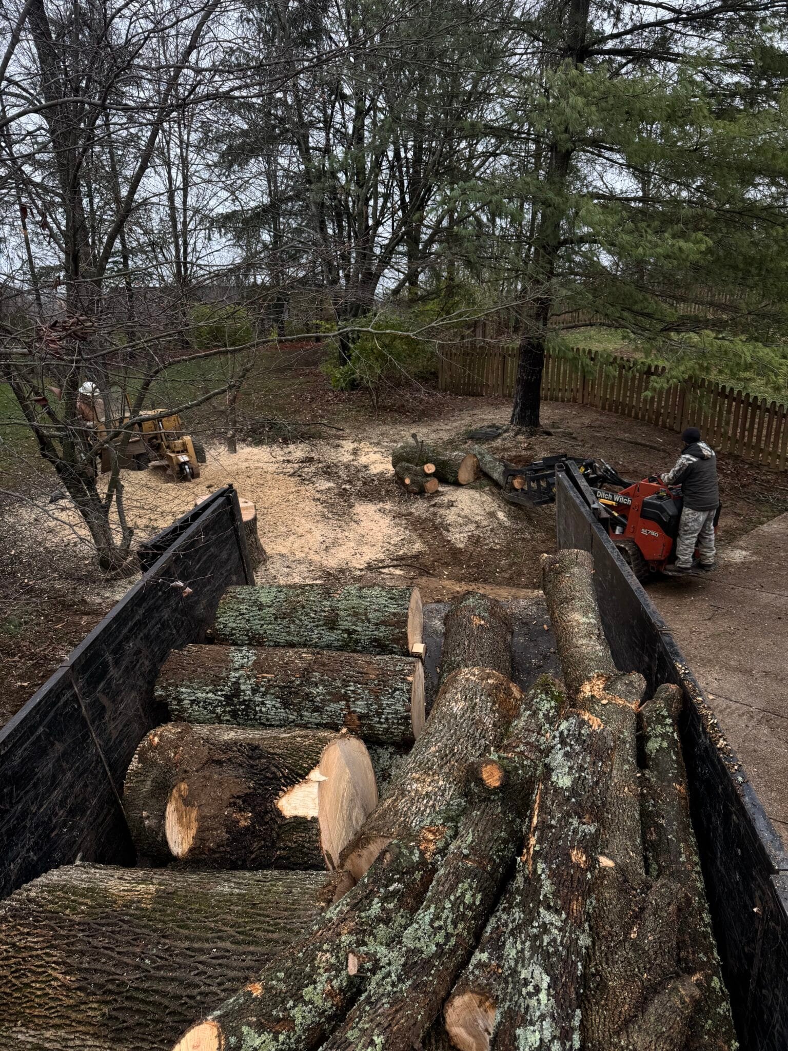Smyrna Tree Service | Tree Removal & Trimming | (615) 995-6260